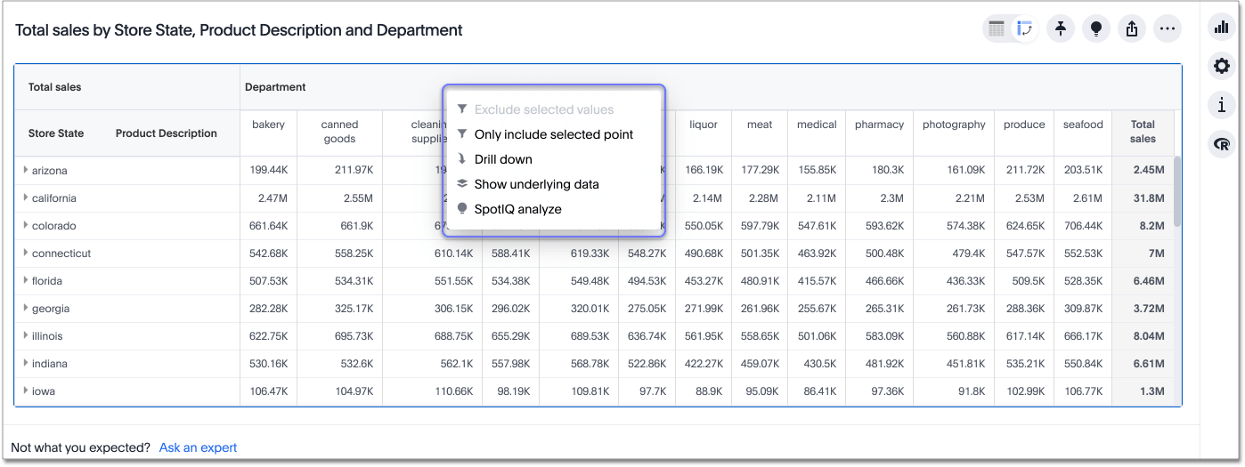 Pivot Table ThoughtSpot Software